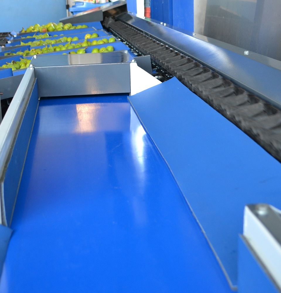 Sorting and Grading line for Avocado - Processing,sorting,grading and packaging lines for ...