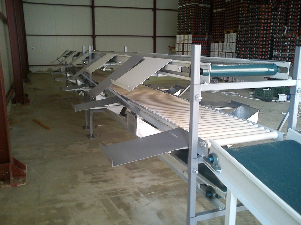 Packaging Line for Grapes - Sorting,packaging lines for Grapes ...