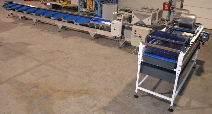 Sorting-Grading-Processing Line for Apples - Processing,sorting,grading and packaging lines for ...